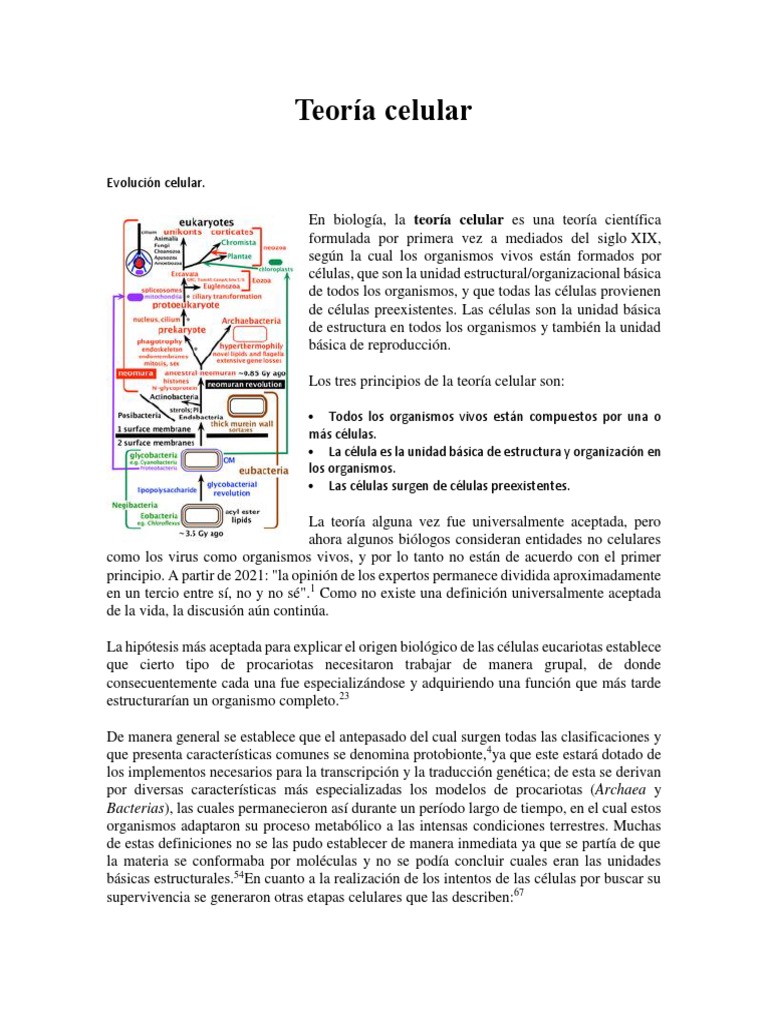 Teoría Celular | PDF | Organismos | Biología Celular)