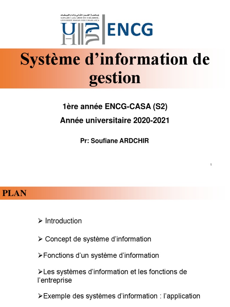 Système d'Information en Entreprise | PDF | Informations | Système d ...