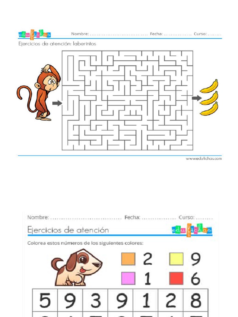 Ejercicios - Atención y Concentración | PDF