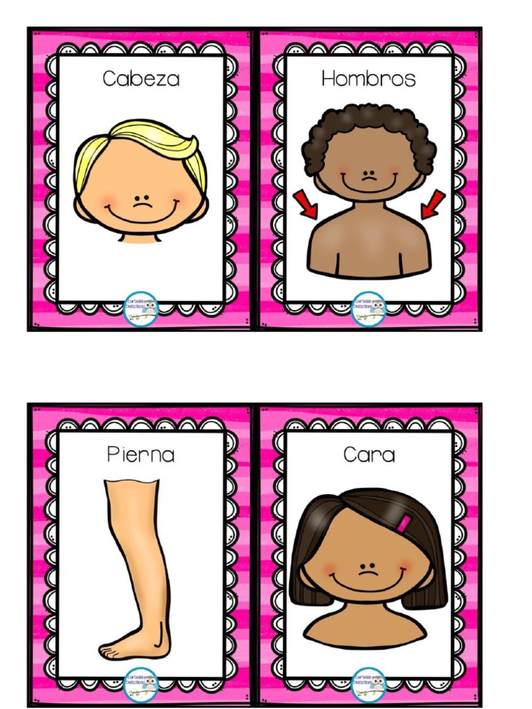 Tarjetas Cuerpo Humano Pdf