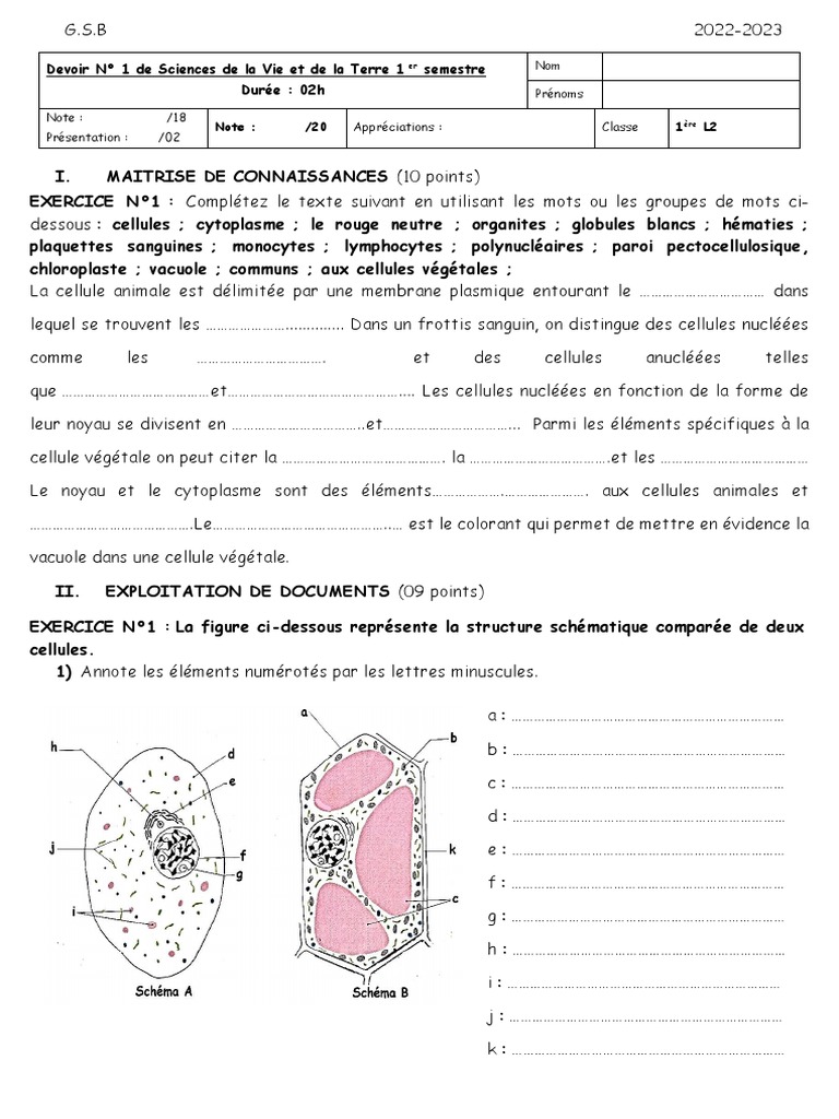 Devoir 2 1ère L2 | PDF | Cellule (Biologie) | Cytoplasme