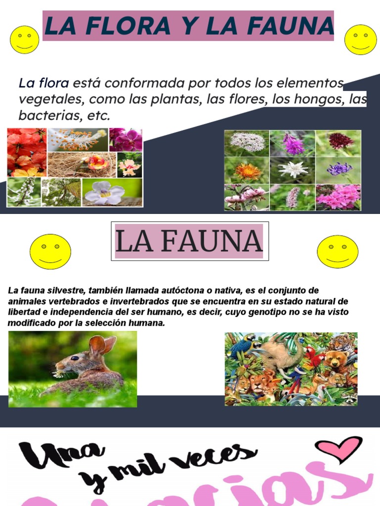 Definición de Flora y Fauna | PDF