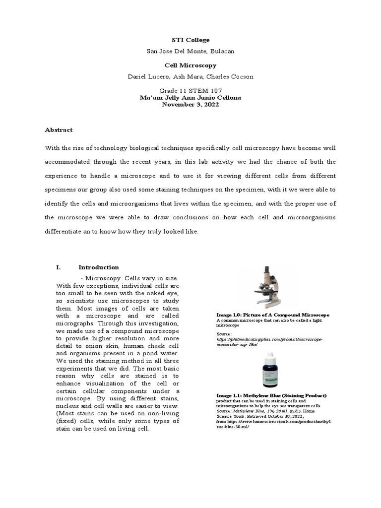Lab Report | PDF | Cell (Biology) | Staining