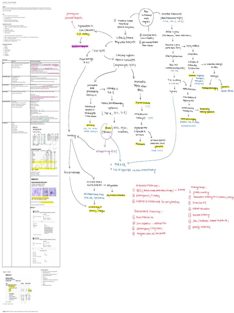 Malaria PBL Case | PDF | Malaria | Fever