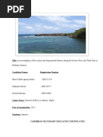 Geography Sample SBA | PDF | River | Rock (Geology)