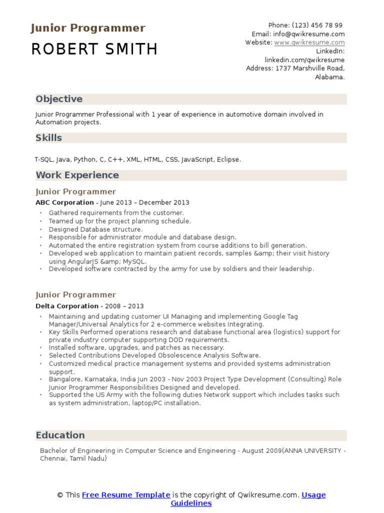 CV Junior-Programmer | Download Free PDF | Programmer | Databases