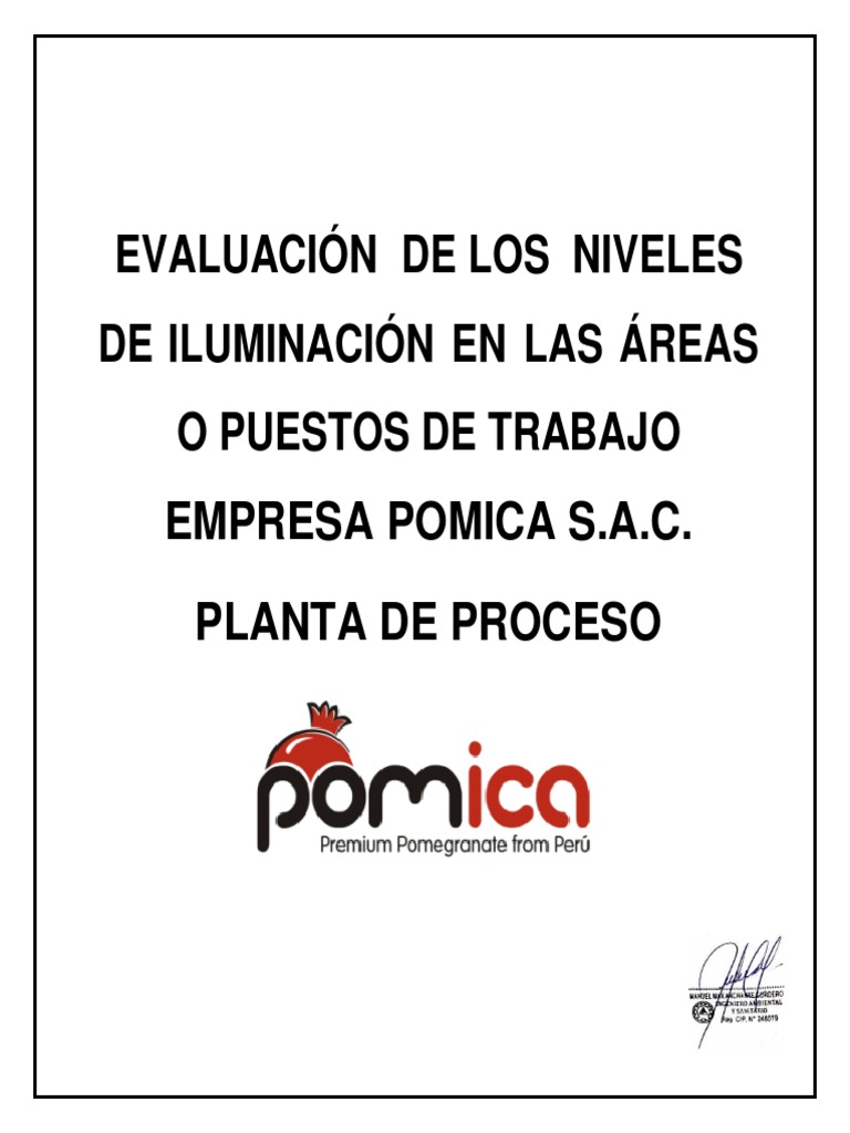 Evaluación de Los Niveles de Iluminación Empresa Pomica S.A.C. - Planta ...