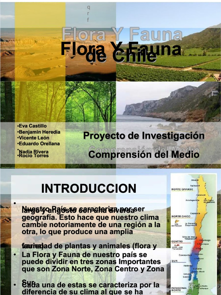 Flora y Fauna de la Zona Norte de Chile | PDF | Chile | Aves
