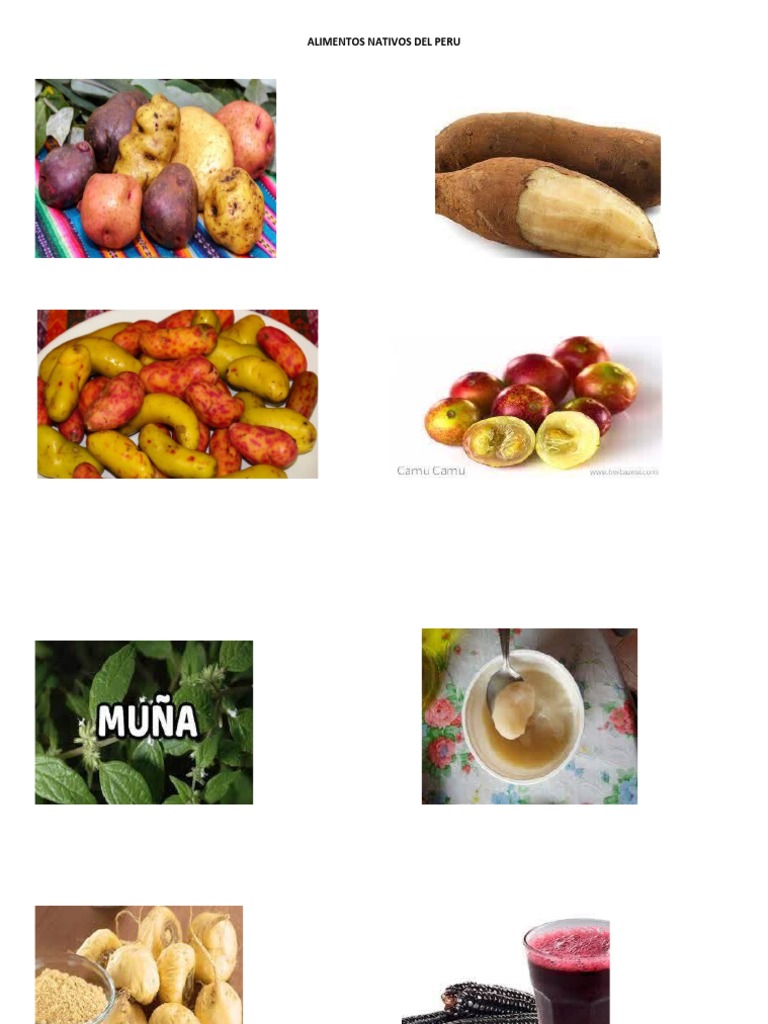 Alimentos Nativos Del Peru | PDF