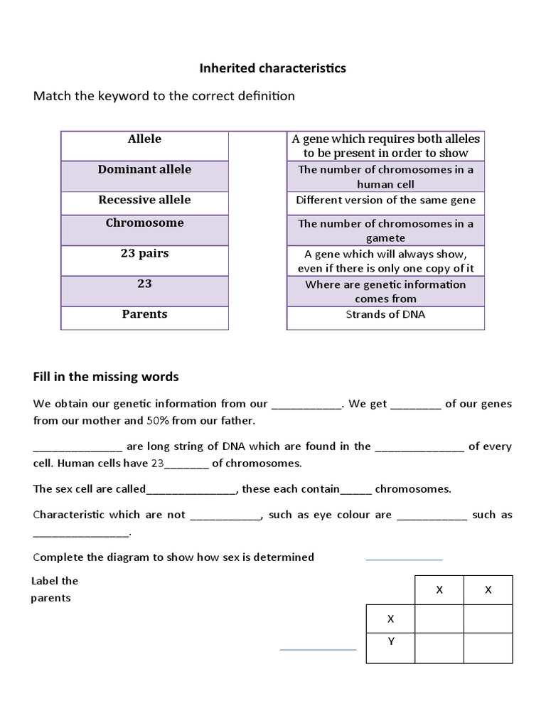Inherited Characteristics Worksheet | PDF