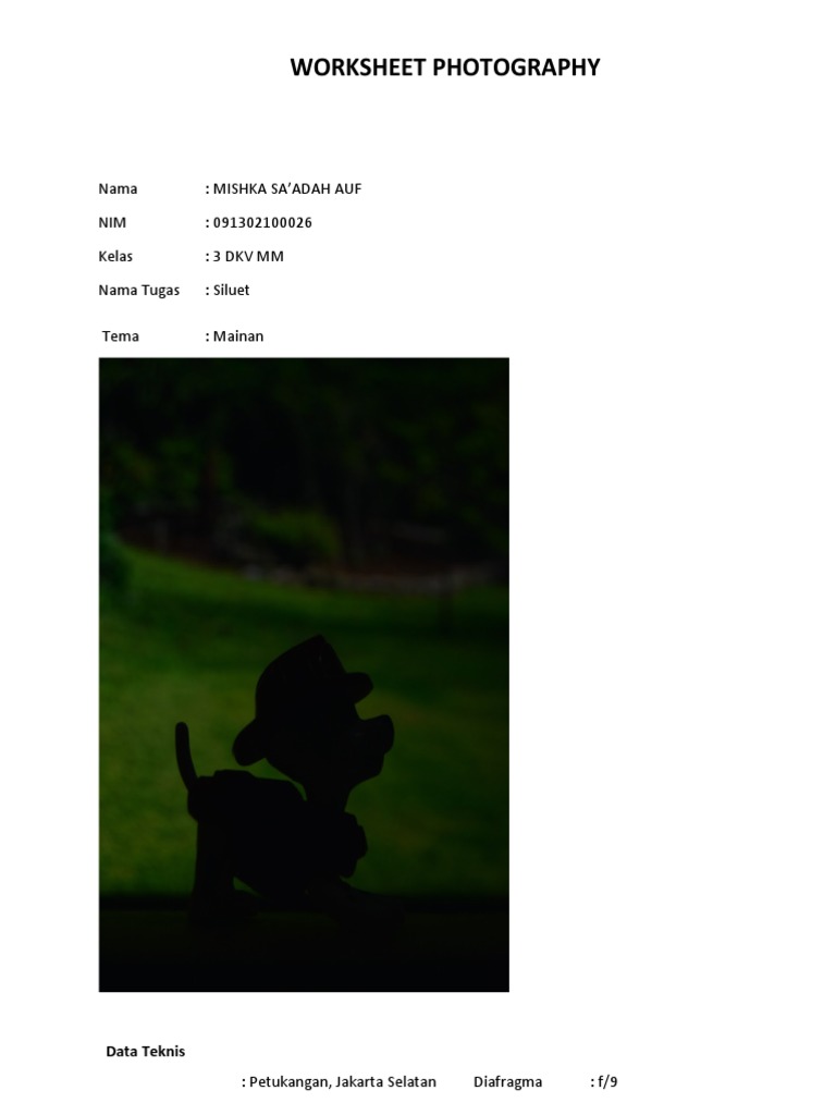 Teknik Siluet Fotografi Mainan | PDF
