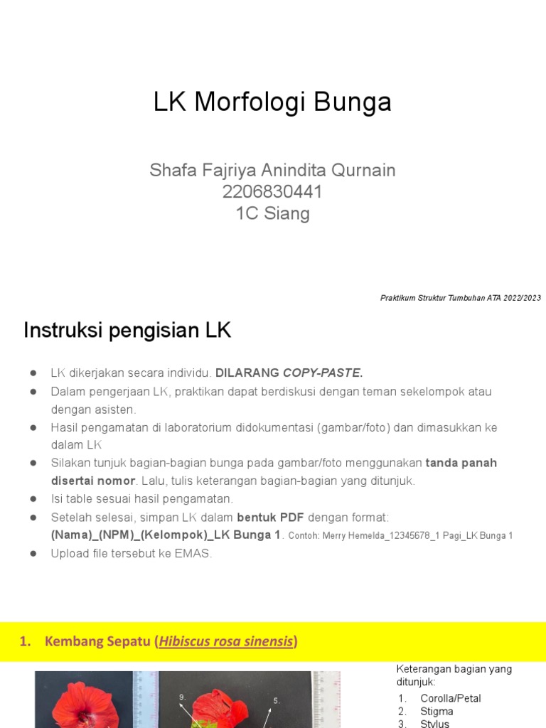 morfologi bunga | PDF