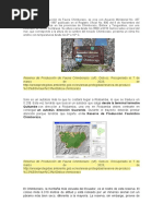 10 Ejemplos de Palabras Homogéneas | PDF | Ocio