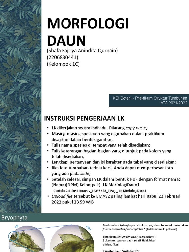 morfologi daun | PDF