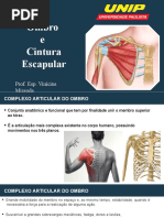 Anatomia Do Complexo Articular Do Ombro | PDF | Sistema Locomotor | Anatomia humana