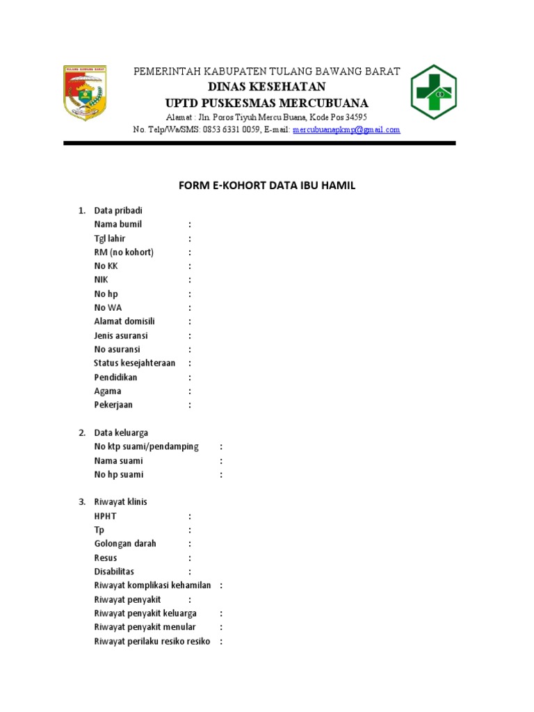 FORM DATA IBU HAMIL DAN PERSALINAN PUSKESMAS MERCUBUANA | PDF