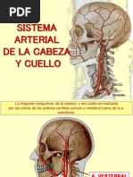 Anatomia Topografica de Cabeza y Cuello | PDF | Cráneo | Sistema esquelético