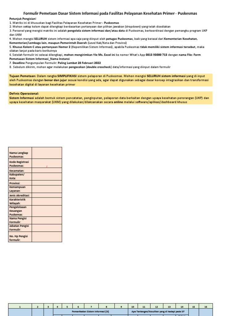 Formulir Pemetaan Dasar Sistem Informasi Pada Fasilitas Pelayanan Kesehatan Primer Fix | PDF