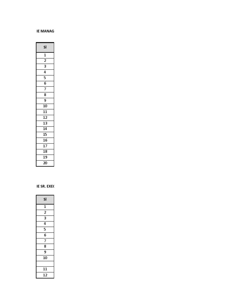 IE Manager and Executive Activities Guide | PDF