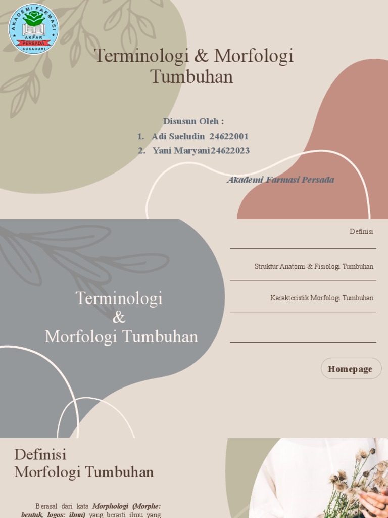 1-Terminologi & Morfologi Tumbuhan Kelompok 1 | PDF