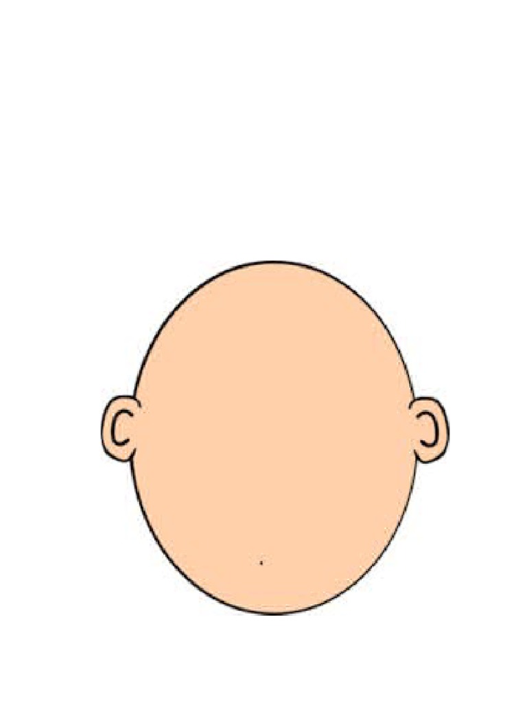 Face and Hair Worksheet | PDF