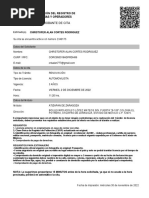 DDJJ EXTRAVIO CEDULA-TITUTLO-PLACAShh | PDF | Finanzas y dinero