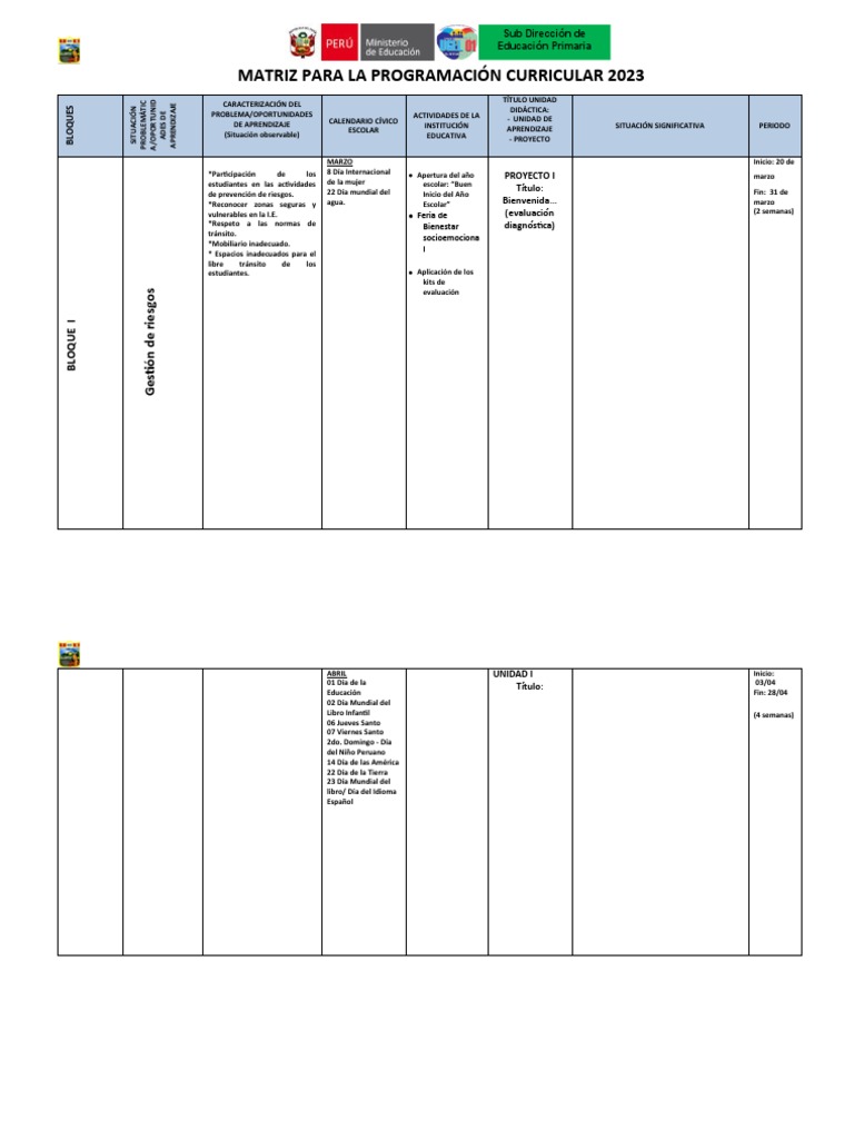 MATRIZ PARA LA PROGRAMACION CURRICULAR-2023 | PDF