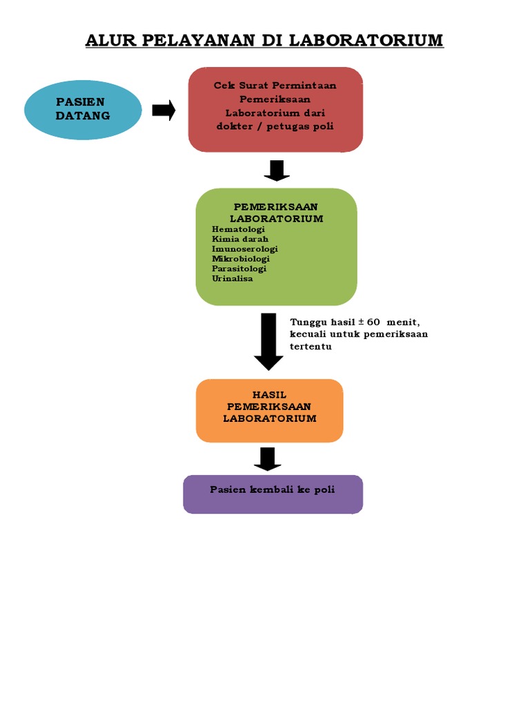 Alur Pelayanan Di Laboratorium: Pasien Datang | PDF