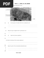 Moore Essential Clinical Anatomy | PDF