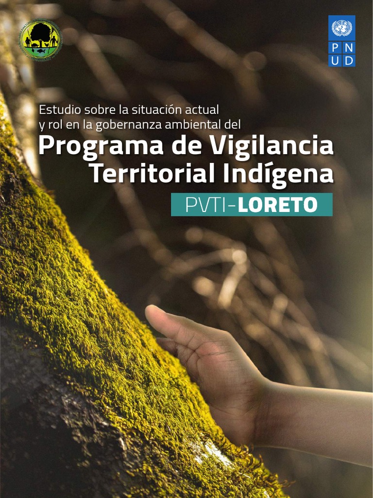 Estudio PVTI Loreto - PNUD | PDF | Remediación Ambiental | Entorno natural
