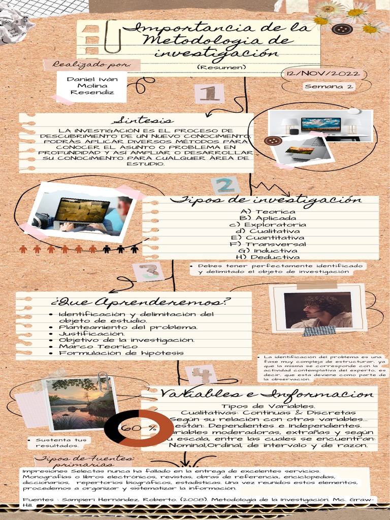 Infografia Metodologia de Investigación | PDF | Estadísticas | Ciencia cognitiva