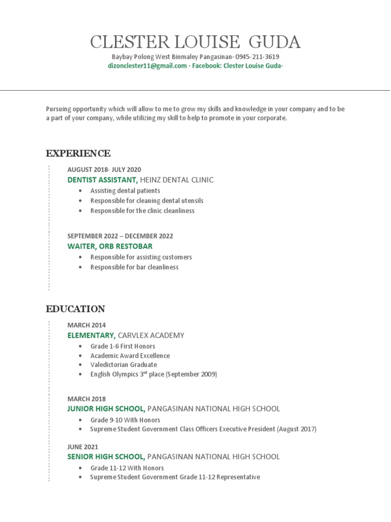 Clester Louise Guda: Experience | PDF