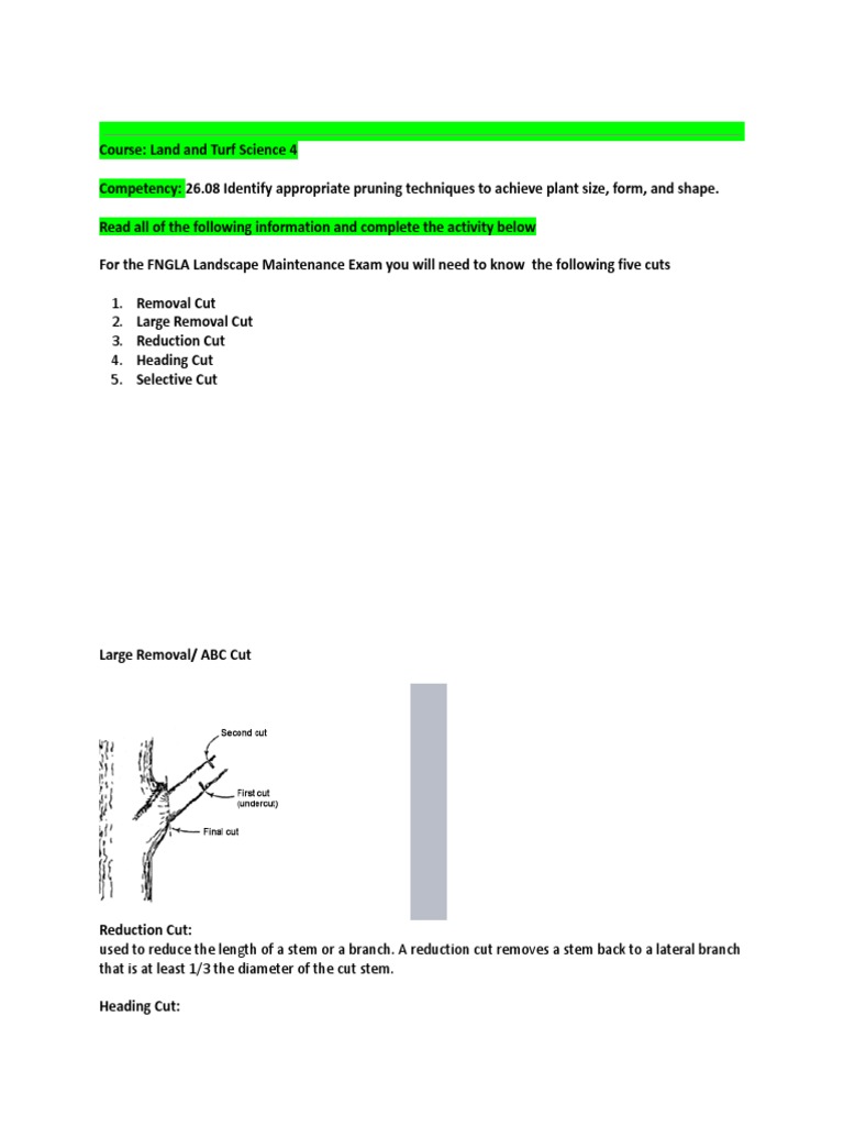 Prunning Cuts Lesson | PDF