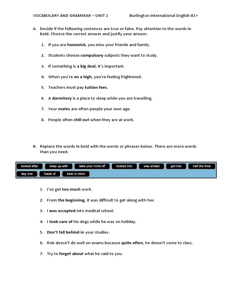 Vocabulary & Grammar Exercises B1+ | PDF | Homework