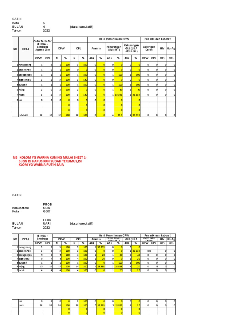 Format Laporan kespro-KB-2022 | PDF