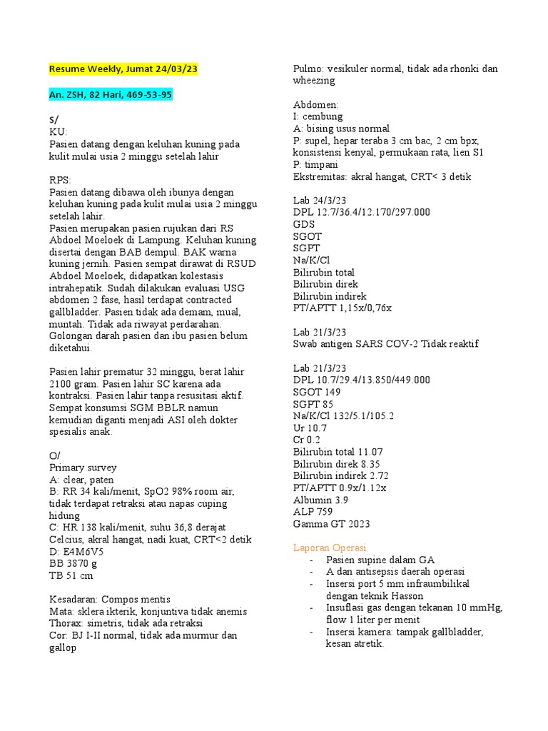 Resume Weekly Minggu Ke-2 | PDF