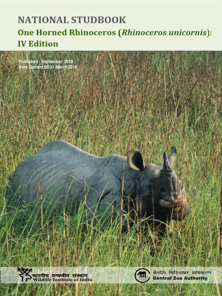 Rhinoceros (Rhinoceros Unicornis) | PDF | Rhinoceros