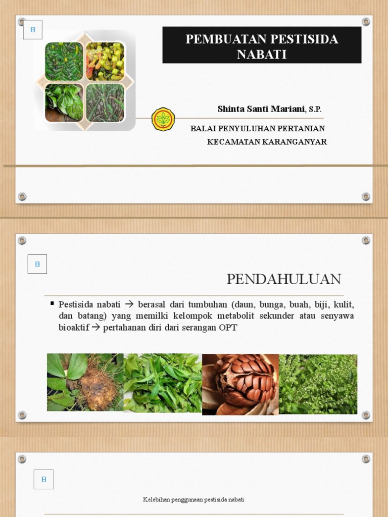 Pembuatan Pestisida Nabati | PDF