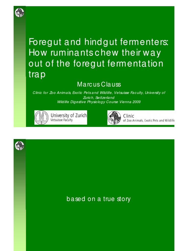 Foregut and Hindgut Fermenters: How Ruminants Chew Their Way Out of The ...