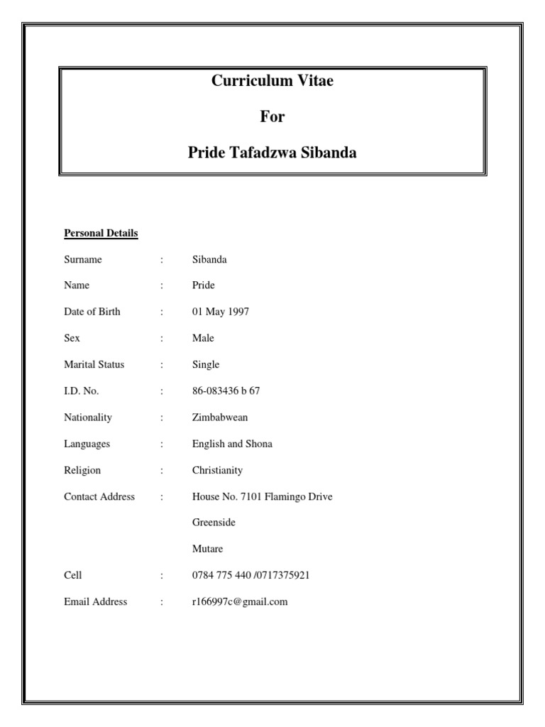 Curriculum Vitae For Pride Tafadzwa Sibanda: Personal Details | Download Free PDF | Engineering ...