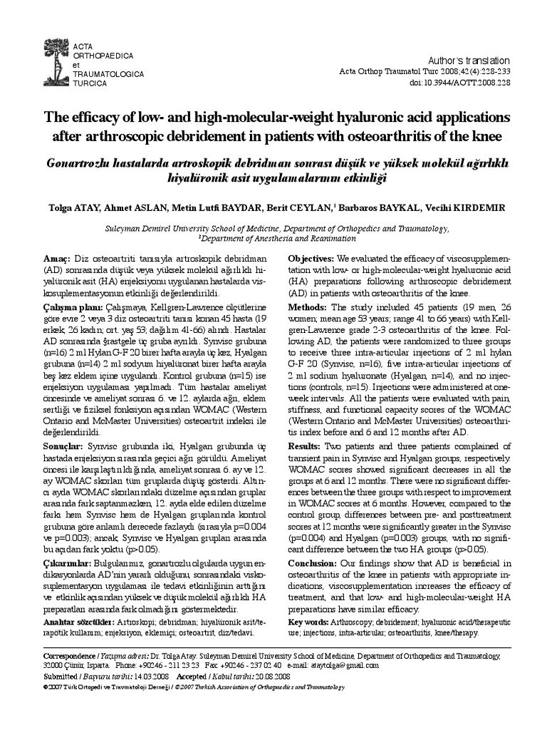 Atay 2008 | PDF