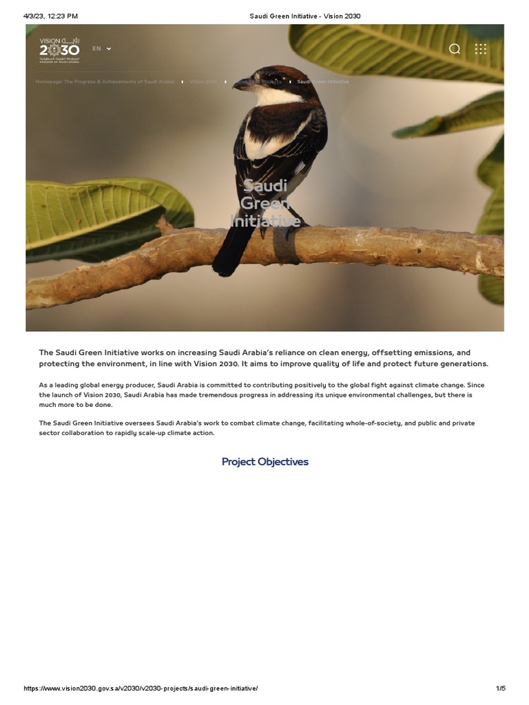 Saudi Green Initiative - Vision 2030 | PDF | Climate Change Mitigation ...