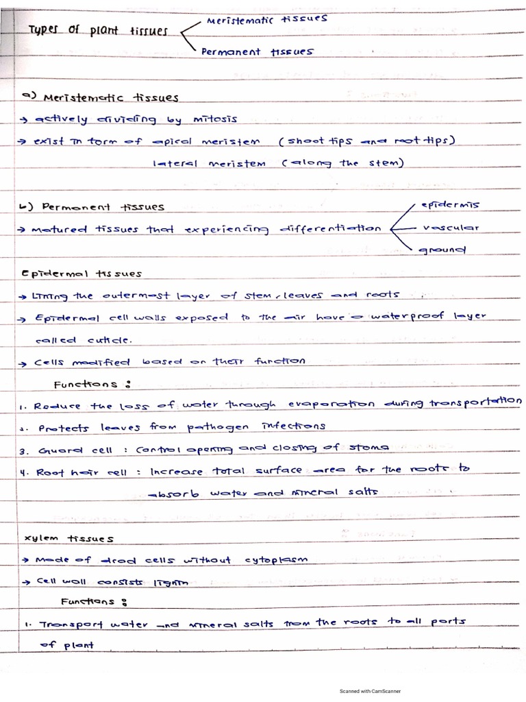 Bio F5 CH1 PT1 | PDF