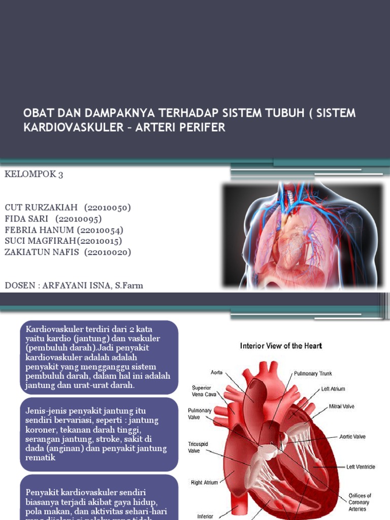 Obat Dan Dampaknya Terhadap Sistem Tubuh (Sistem Kardiovaskuler ...