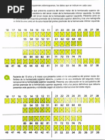 Caso Práctico Odontograma | PDF | Arte