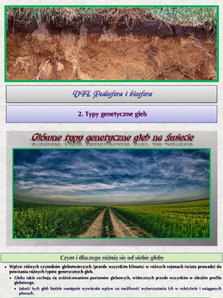 Typy Genetyczne Gleb | PDF