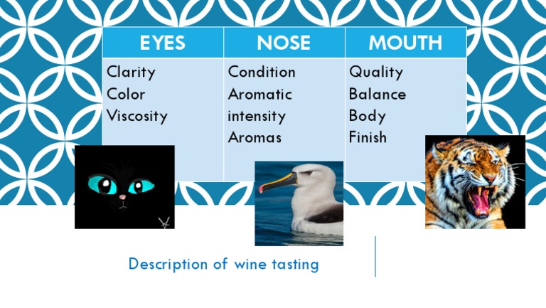 Wine Tasting: Key Sensory Elements | PDF