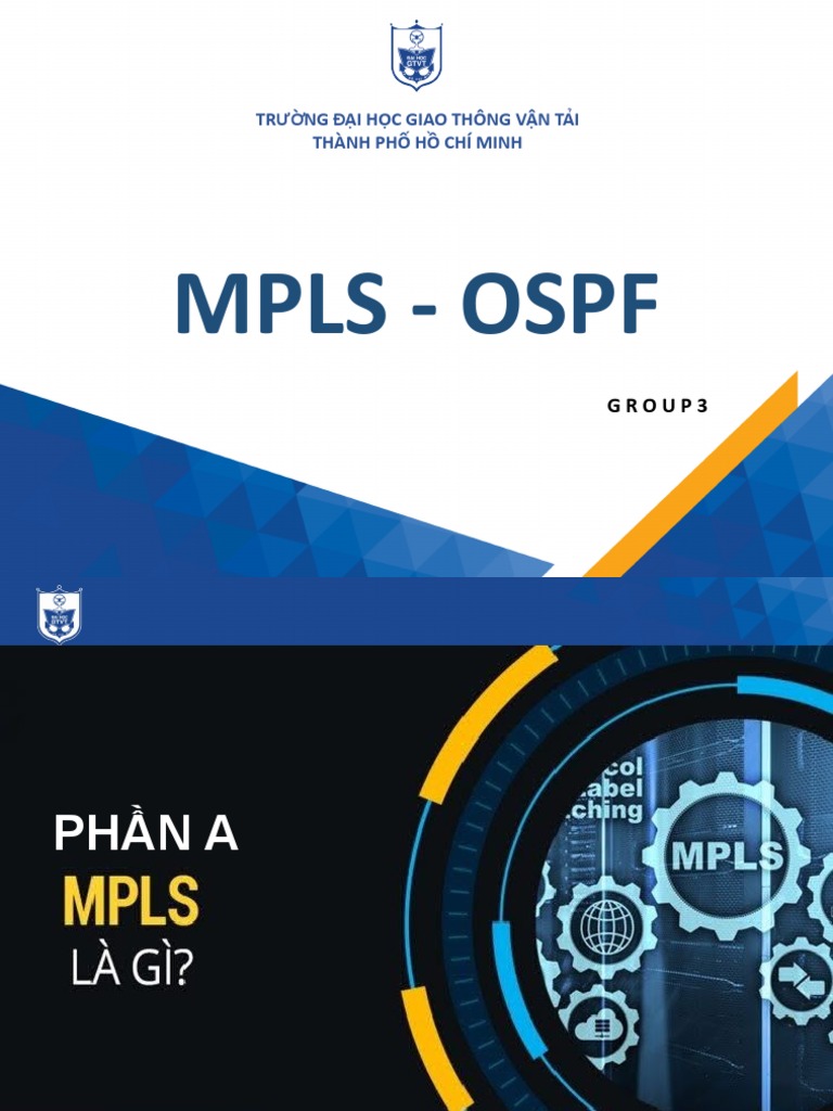MPLS Ospf | PDF
