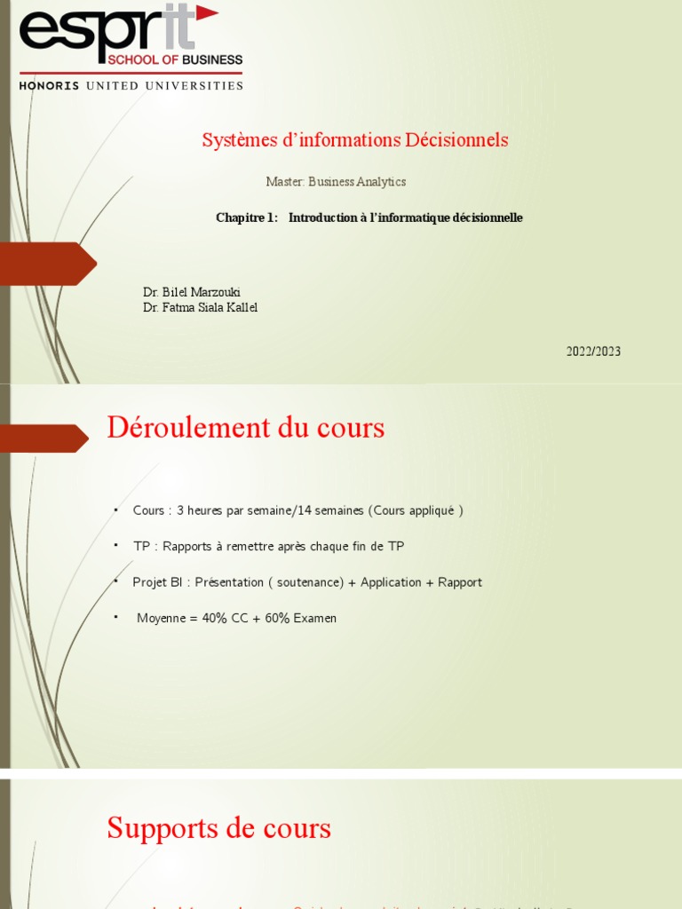 Chapitre 1 | PDF | Informatique décisionnelle | Données