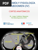 Radiografia de Abdomen | PDF | Abdomen | Anatomía